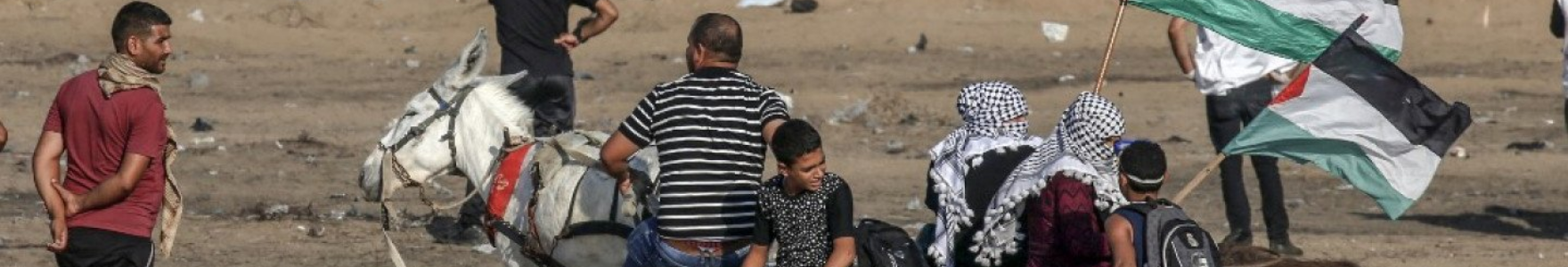 Cruel Pancake X Lipton : la collab streetwear ultra rafraîchissante